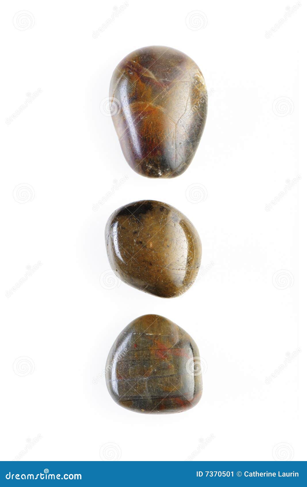Tree pebbles stock image. Image of stone, pebble, object - 7370501