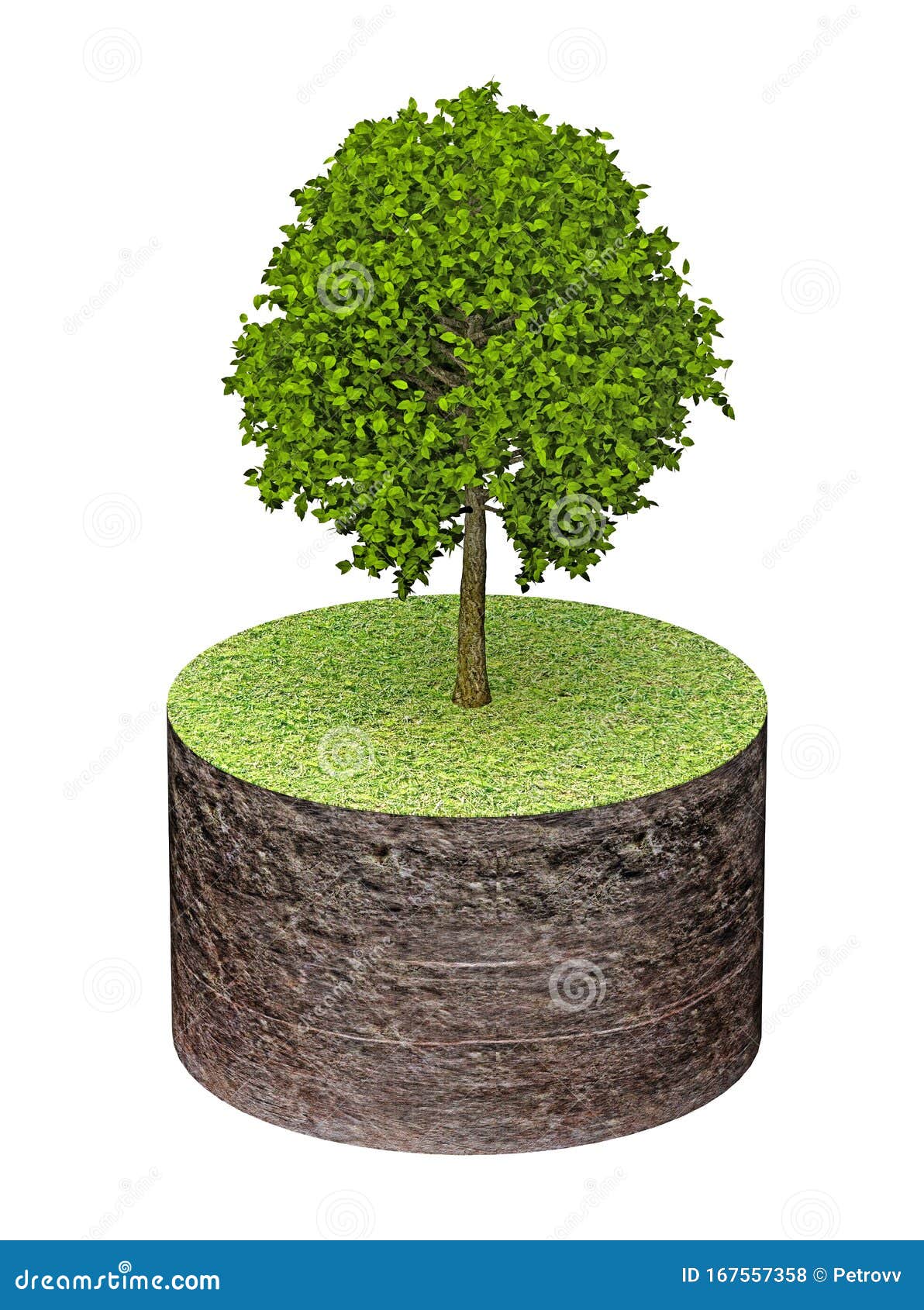 Tree on Piece Cylinder of Land Stock Illustration - Illustration of ...