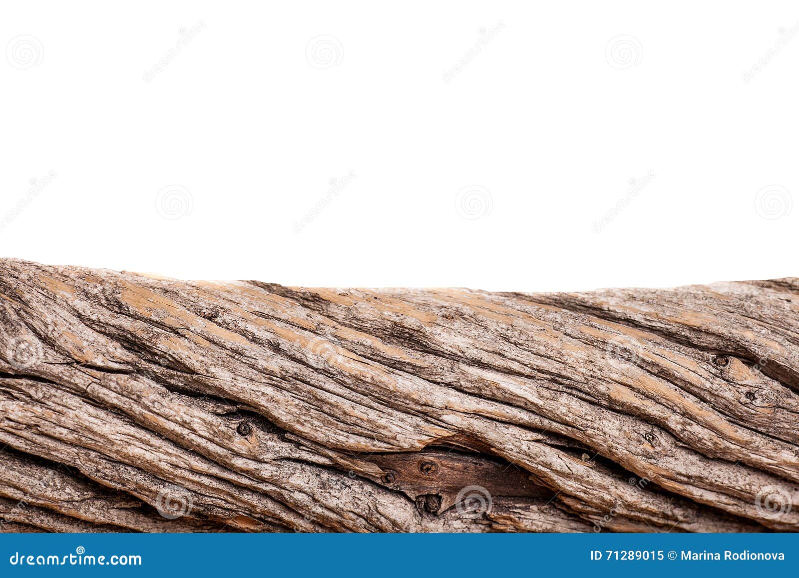Tree Piece Isolated on a White Background Stock Image - Image of board ...