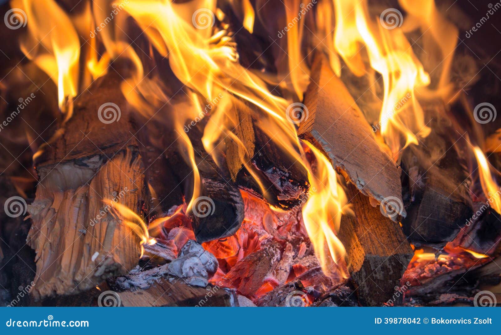 Tree Pieces Burn in the Furnace Stock Photo - Image of fire, oven: 39878042