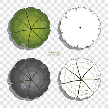 Tree Plan. Abstract Drawing Sketch for Landscape Design Stock Vector ...