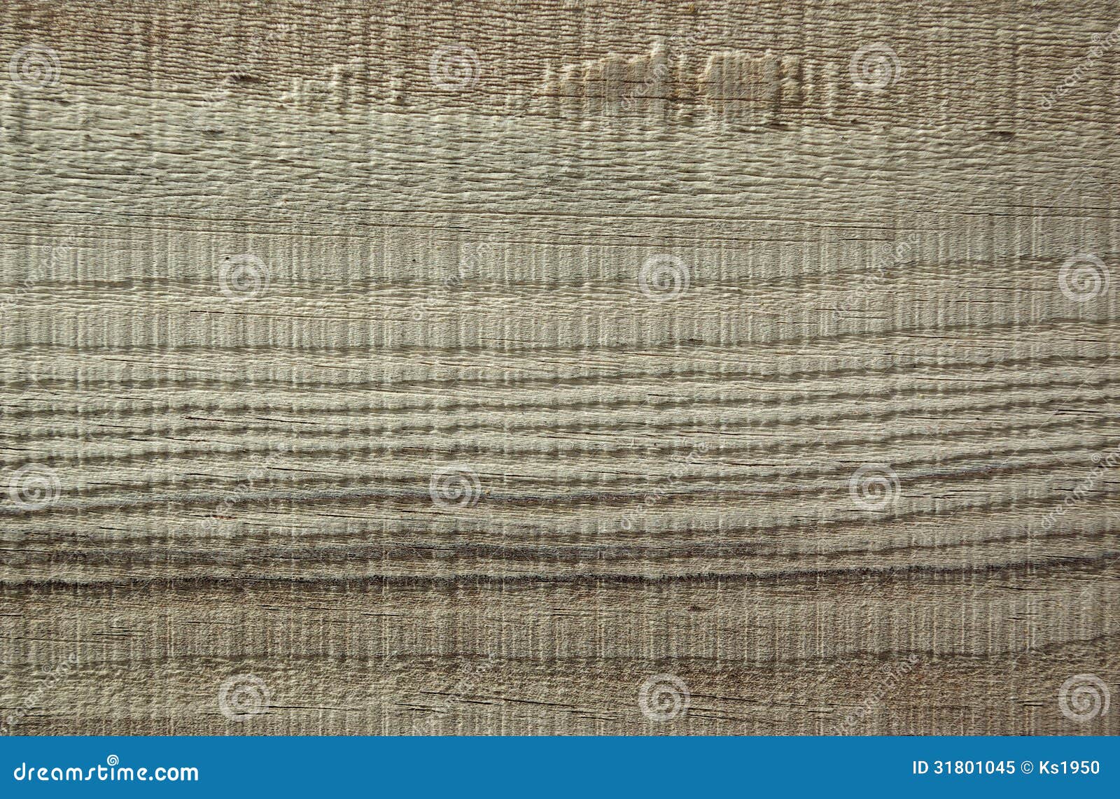 Tree stock image. Image of board, wood, material, construction - 31801045