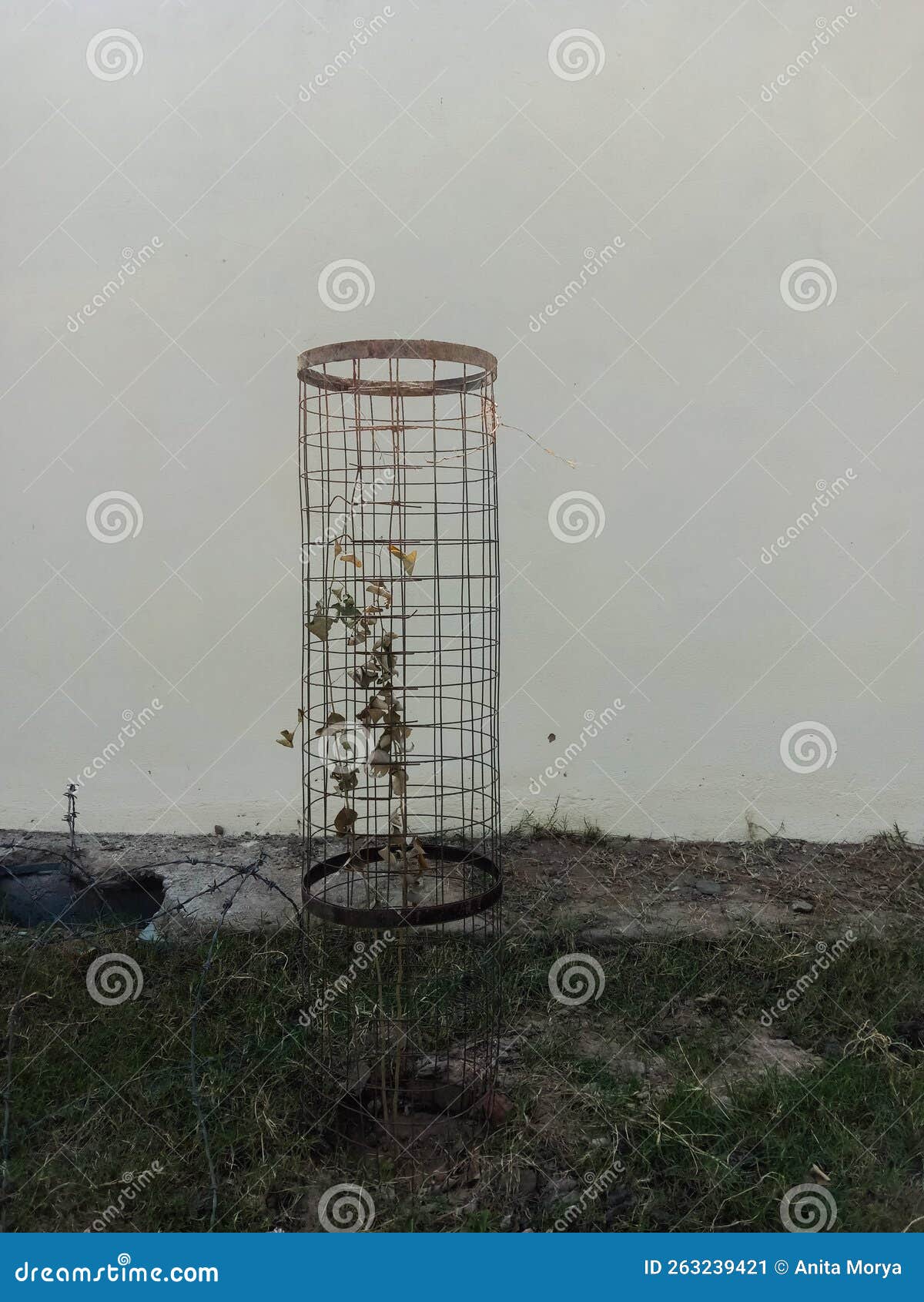 Tree and Plant Guard or Protector Stock Image - Image of metal, concept ...