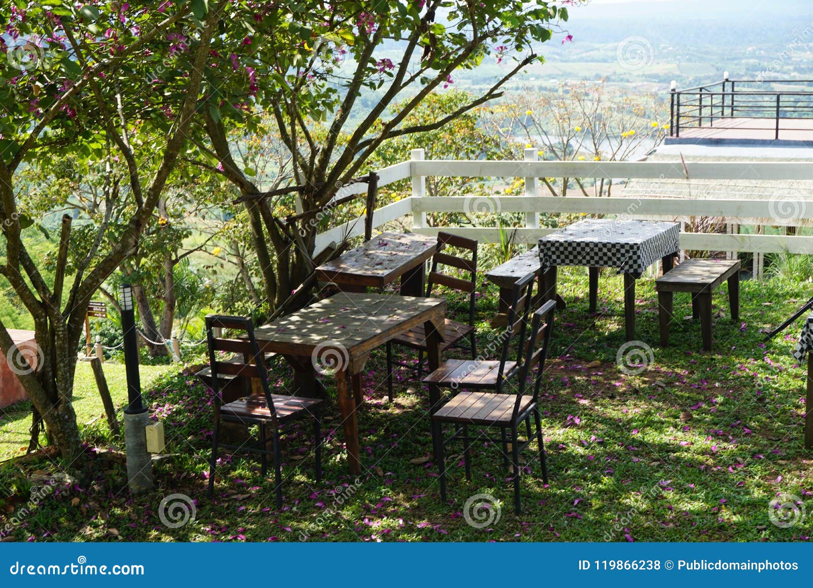 Tree, Plant, Table, Outdoor Structure Picture. Image: 119866238