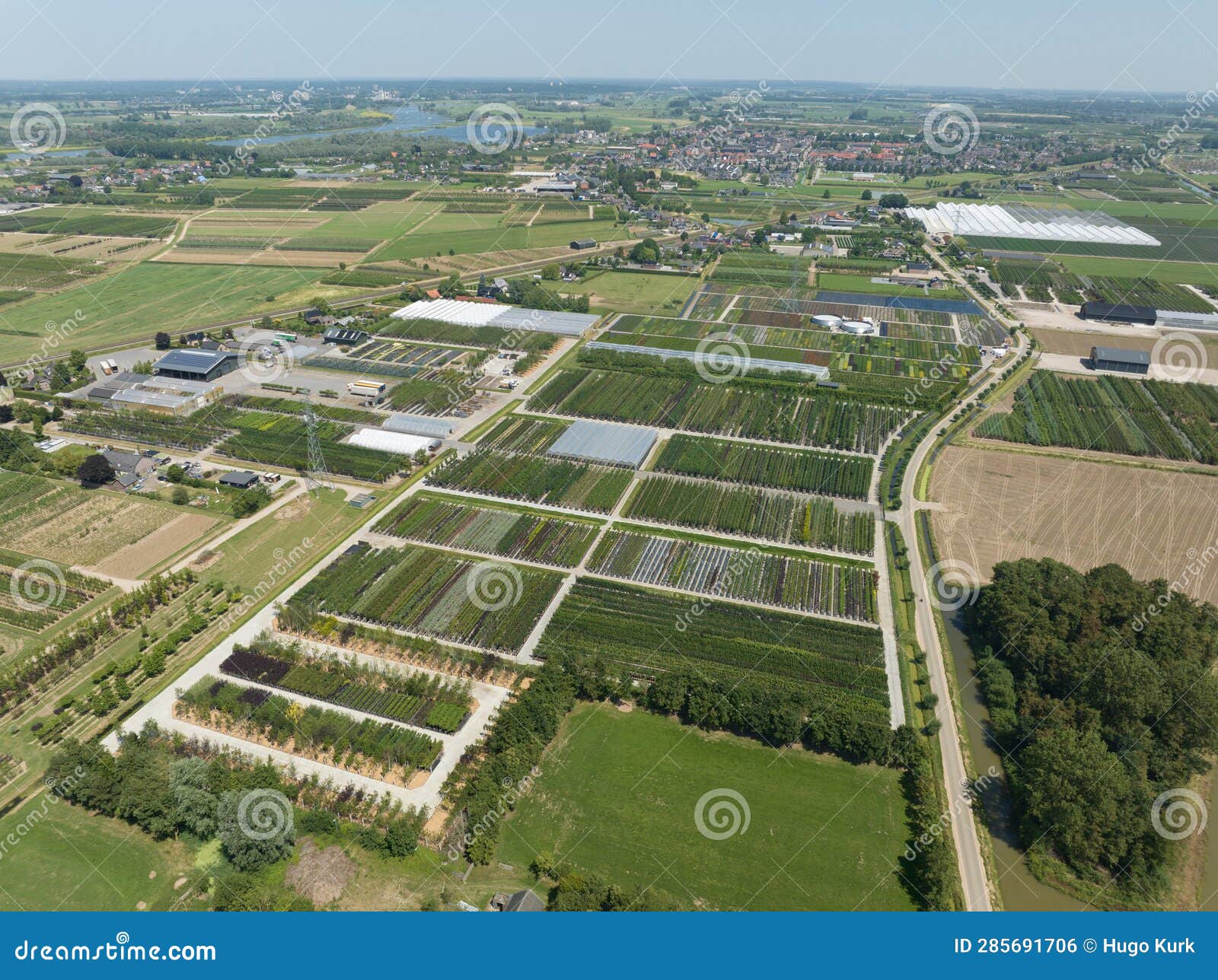 Tree Plantation Farm in Aerial Drone View. Stock Photo - Image of ...