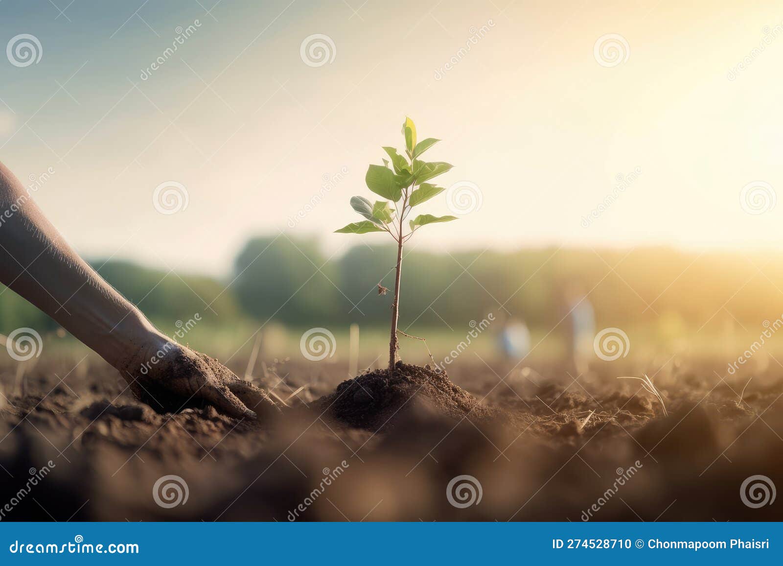 Tree Planting and Earth with Volunteering Hands on Blur Blue Sky and ...