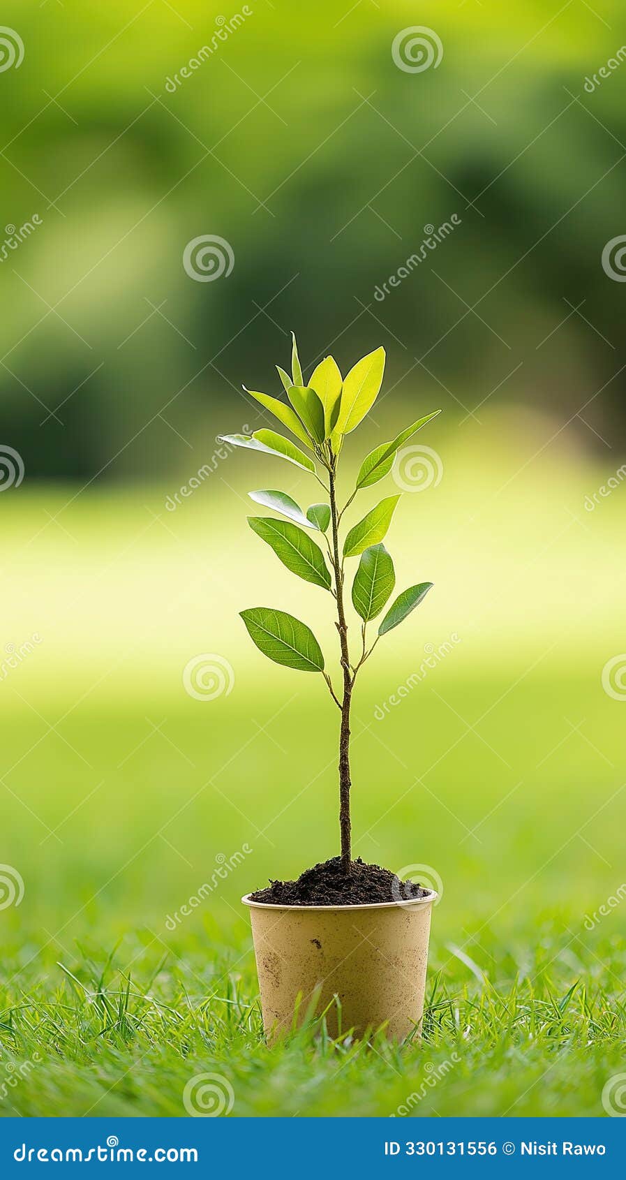 Tree Planting Event in a Community Park, Reforestation, Climate Action ...