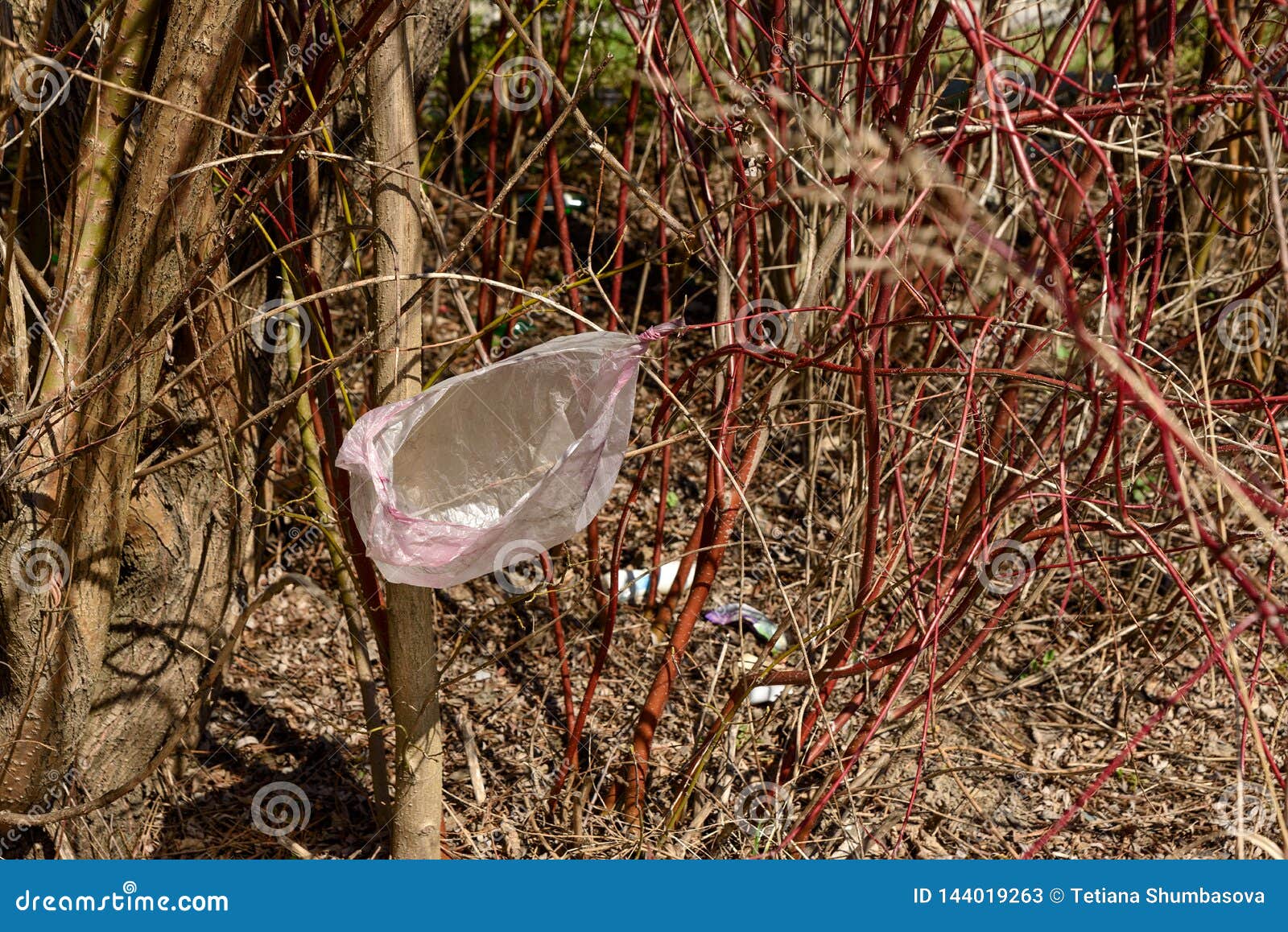 Tree with Plastic Bag at Illegal Landfill in Park. Environment ...