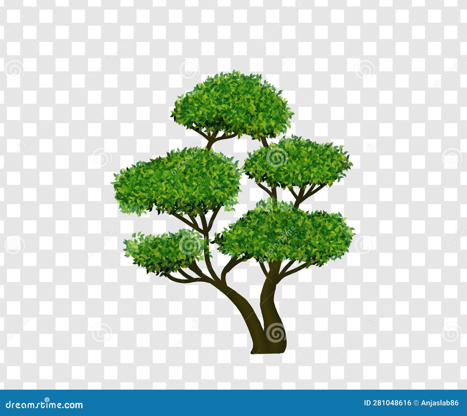 Tree Png Transparent Background Small Size Aditional Object Stock Photo ...