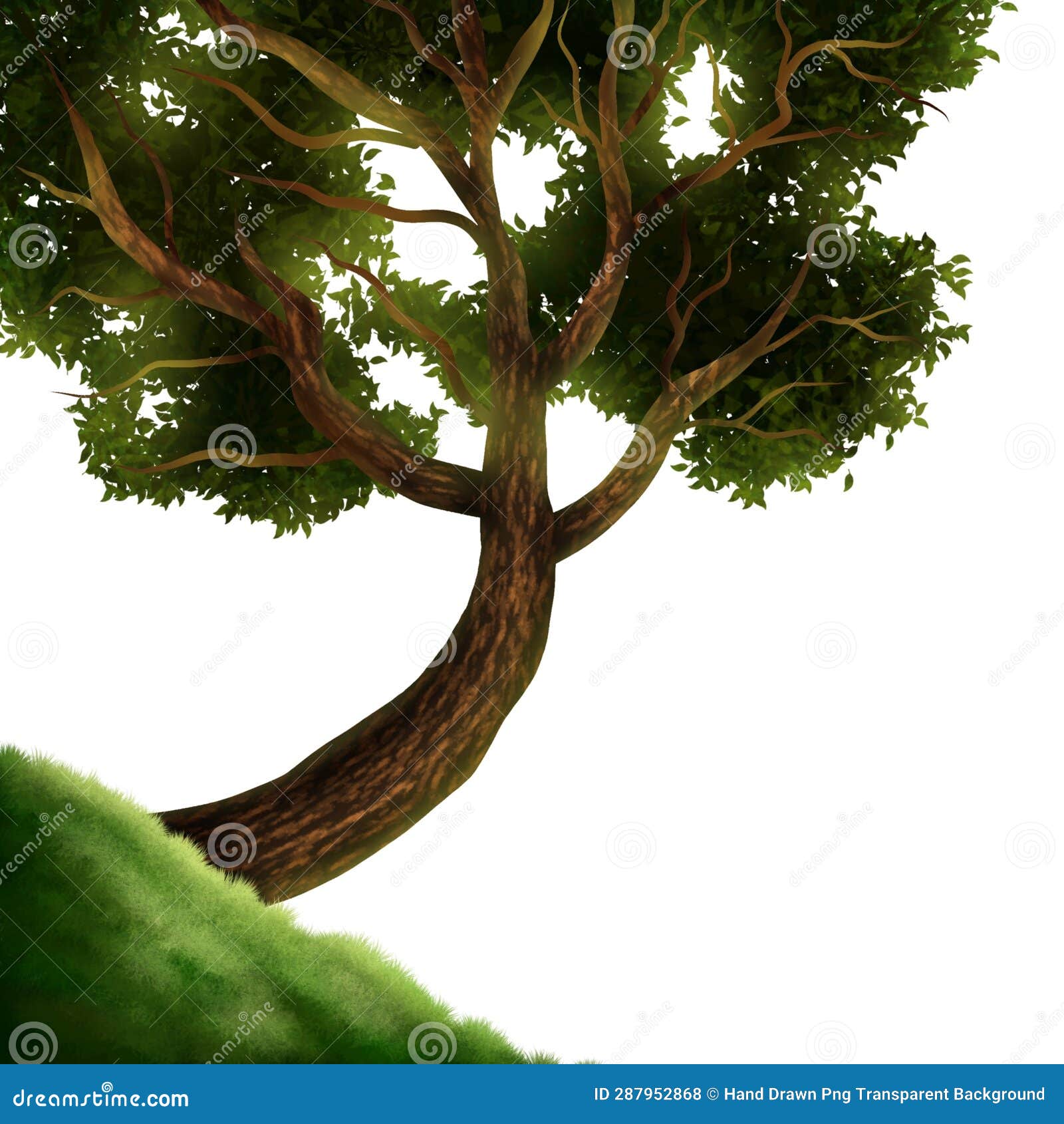 Fundal Transparent Png Arbore Tip 14. Stock Photo - Ilustrare din ...