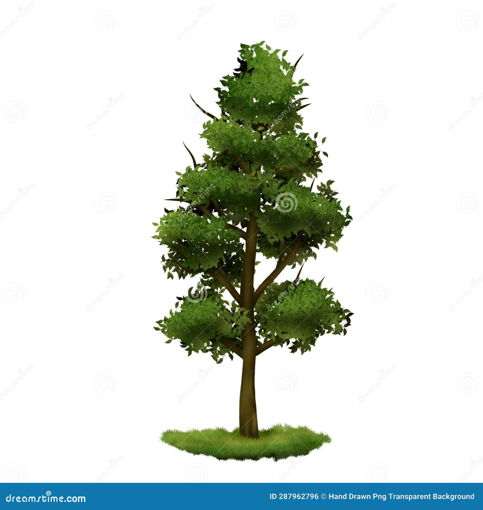 Fundal Transparent Png Arbore Tip 14. Stock Photo - Ilustrare din ...