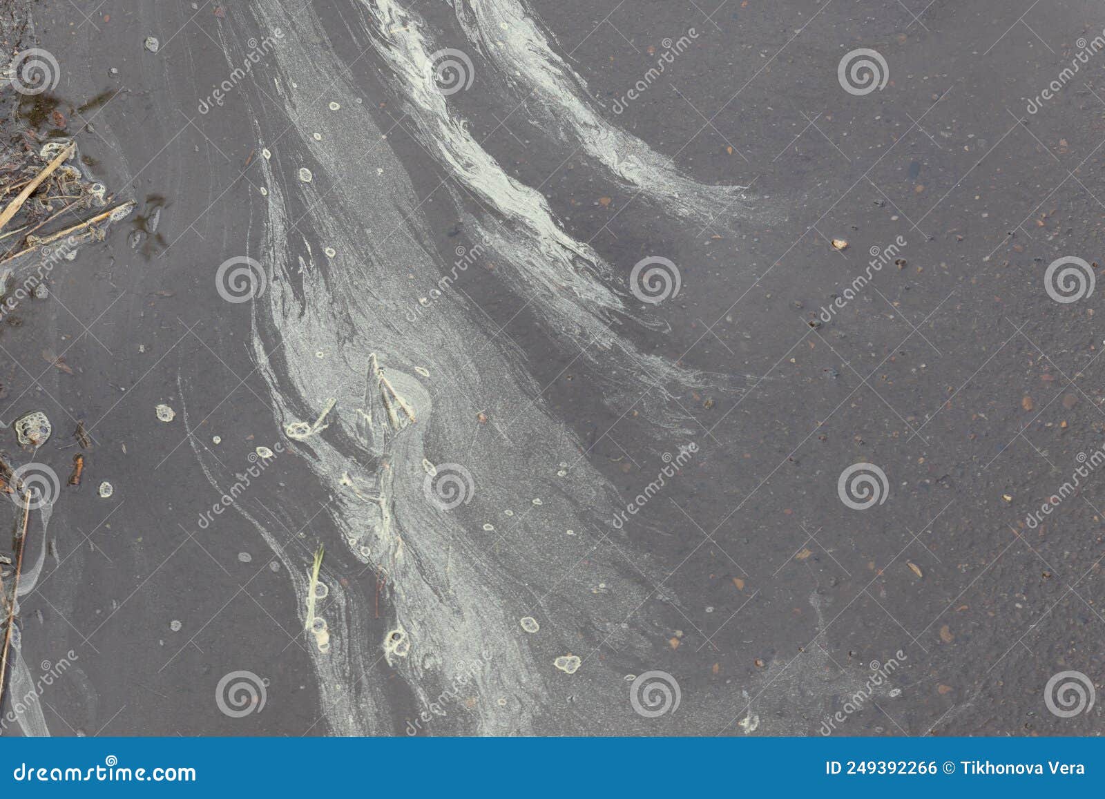 Tree Pollen on the Water Surface Stock Photo - Image of pollution ...