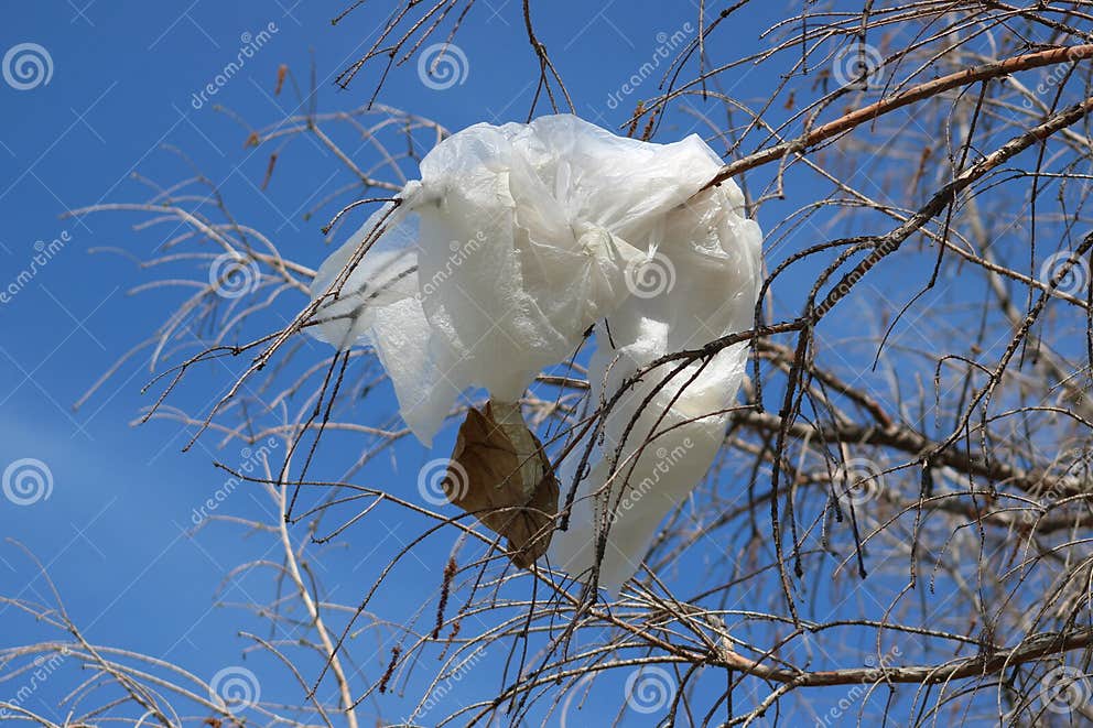 Tree Polution Grows stock photo. Image of tree, services - 309618454