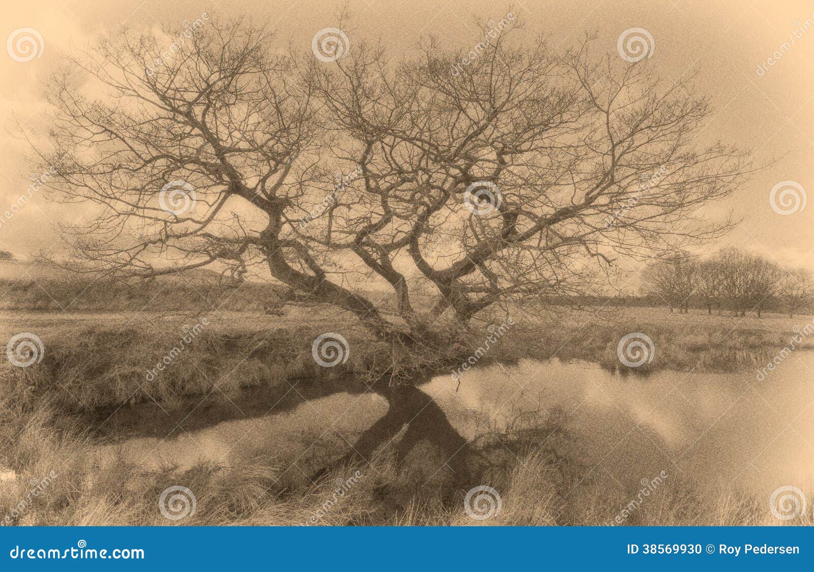 Calotype Photograph Photos - Free & Royalty-Free Stock Photos from ...