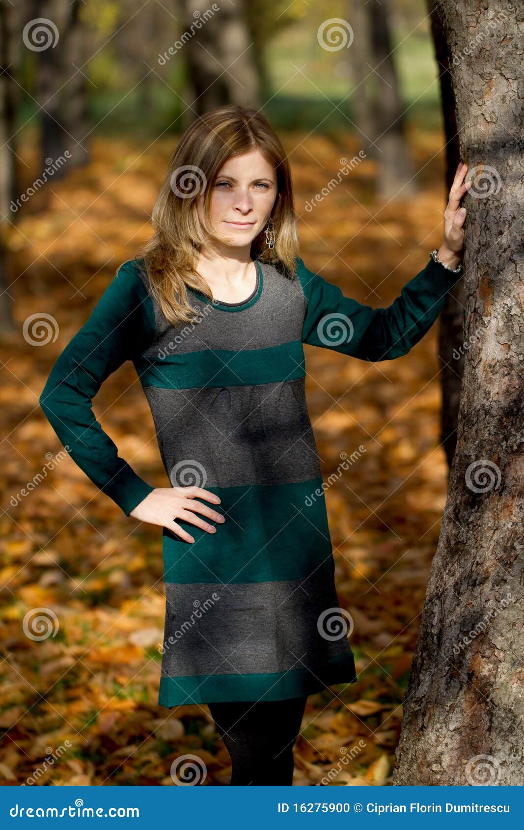 Tree pose stock photo. Image of woman, pose, nature, alone - 16275900