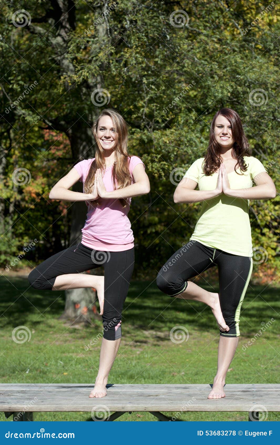Tree Pose stock photo. Image of outdoors, outdoor, park - 53683278