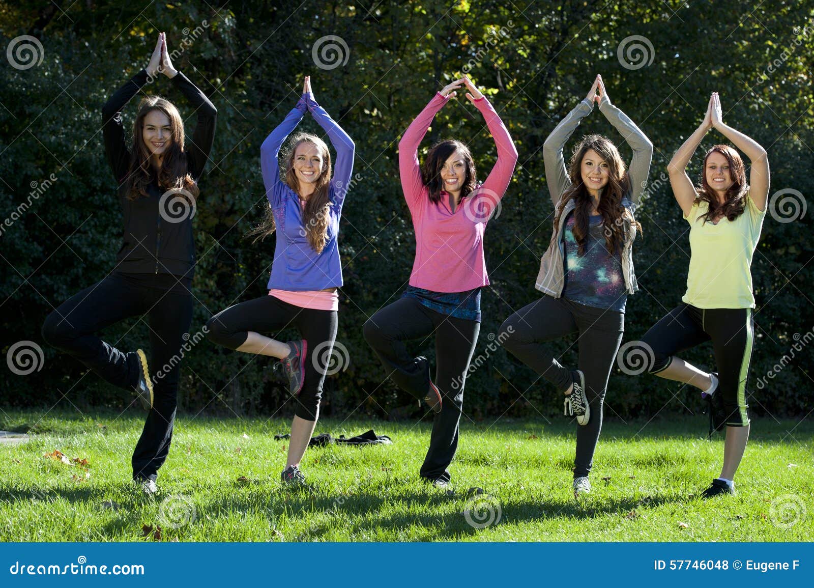 Tree Pose stock photo. Image of model, outdoor, female - 57746048