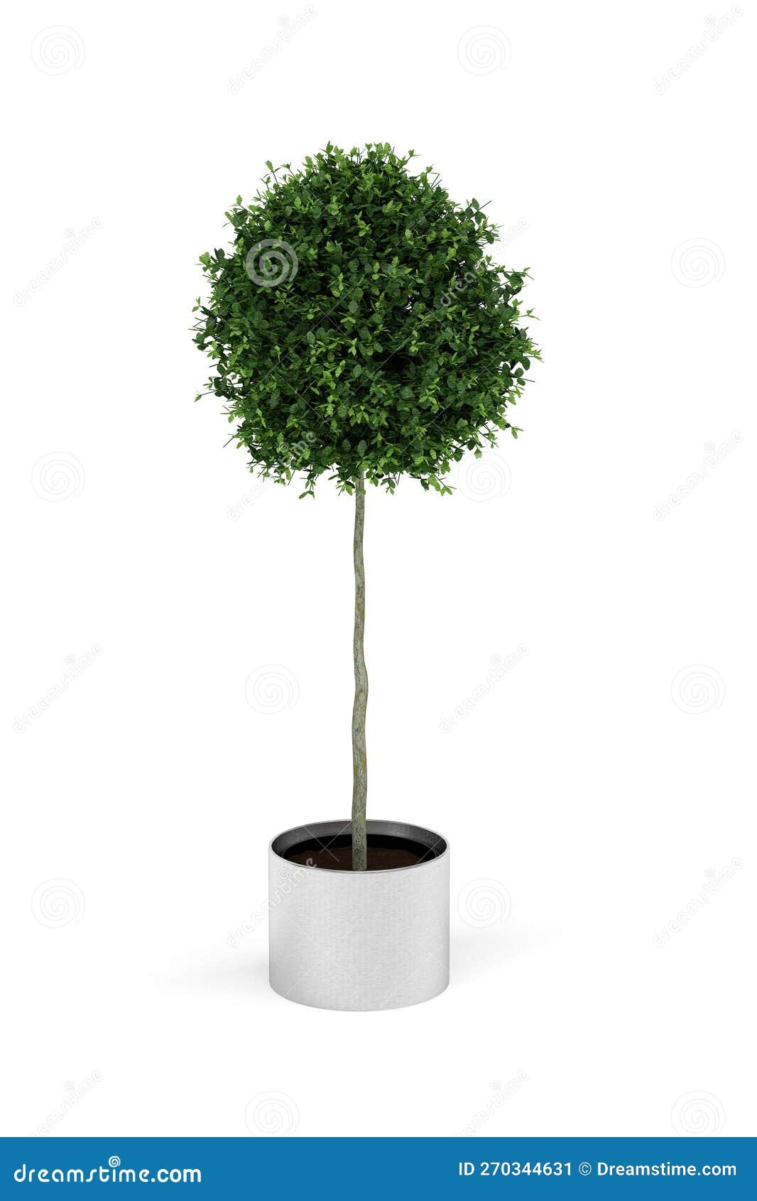 Tree in a Pot Isolated in White - 3d Stock Illustration - Illustration ...