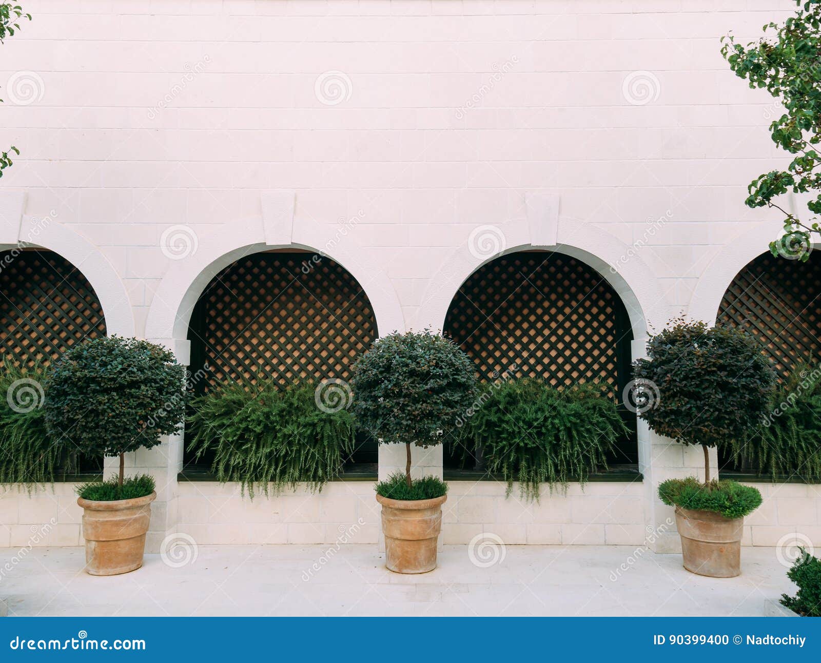 A Tree in a Pot. Small Trees in Clay Pots Stock Photo - Image of house ...