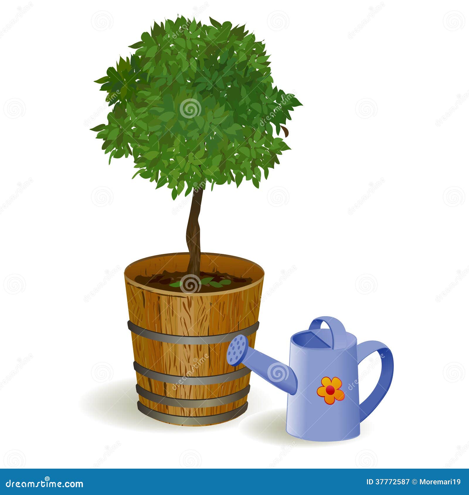 Tree in a pot and watering stock vector. Illustration of tree - 37772587