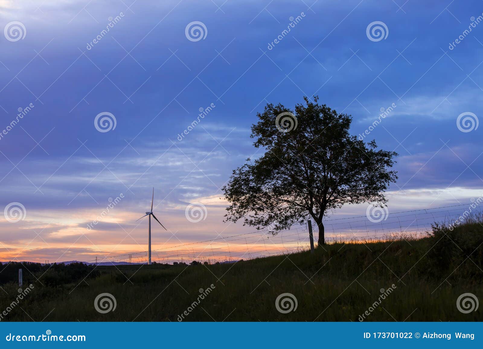 A tree on the prairie stock photo. Image of slope, nature - 173701022