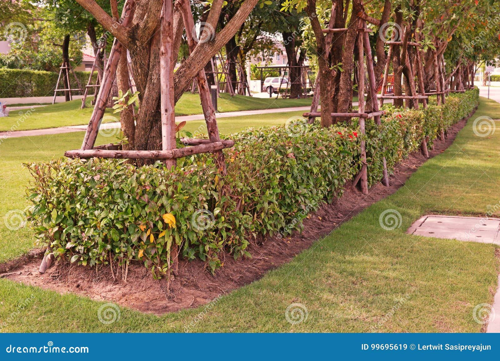 Tree Prop To Support Big Tree Stock Image - Image of summer, style ...