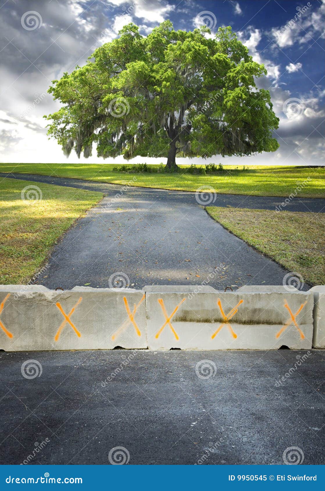 Tree protection stock image. Image of scene, block, tree - 9950545