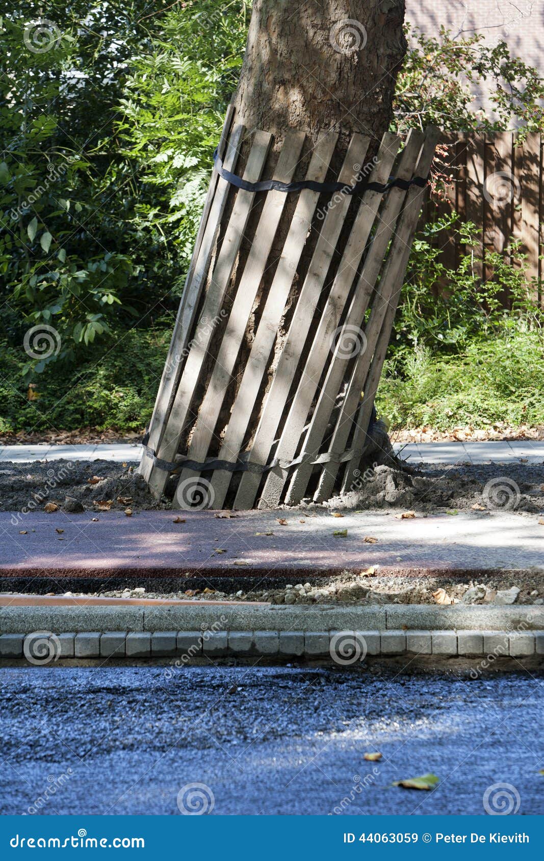Tree protection stock image. Image of construction, reconstruction ...