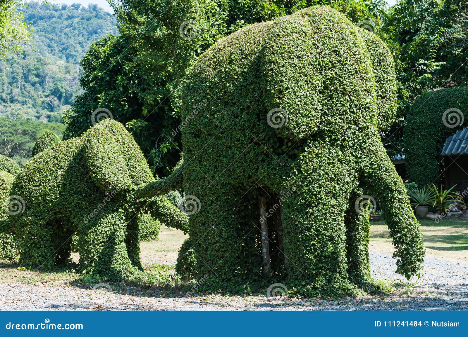 Tree Pruning is a Big Elephant in the Garden Stock Photo - Image of ...