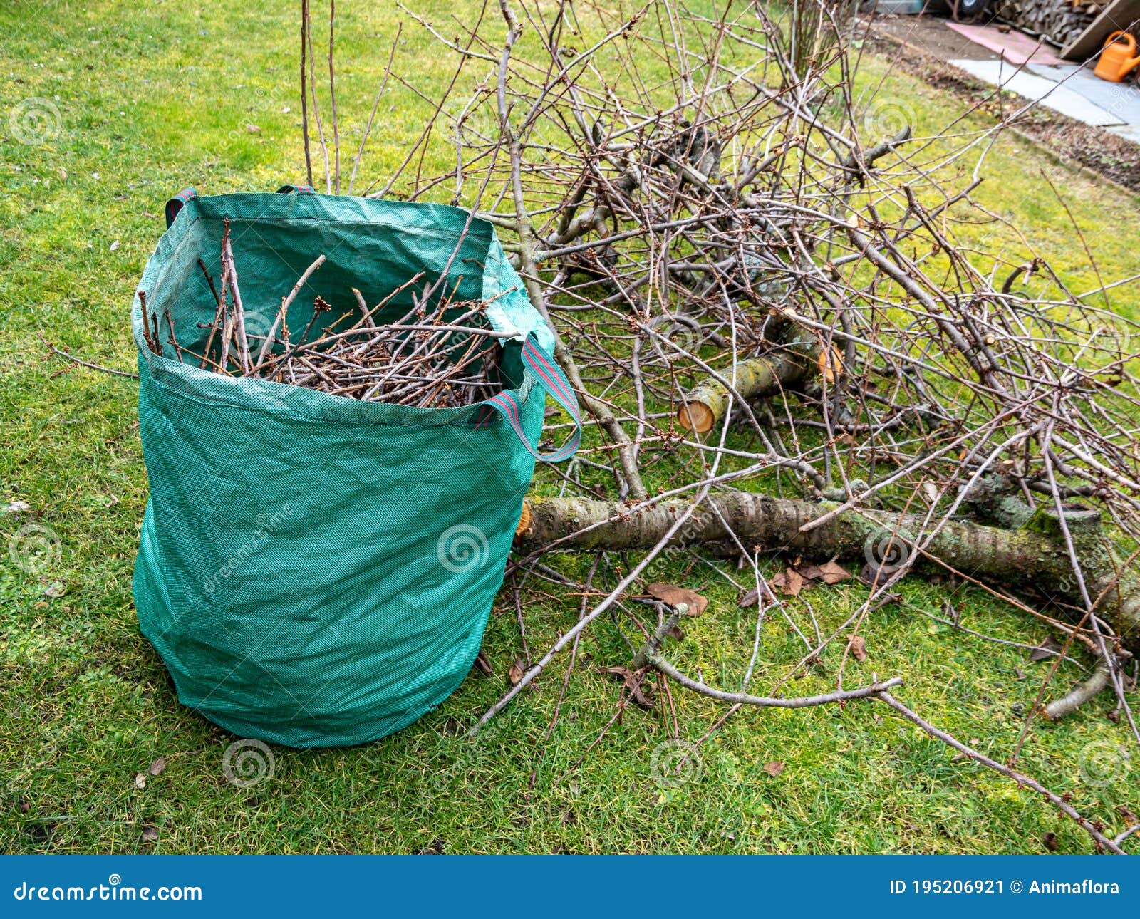Tree Pruning in the Garden Green Waste Stock Image - Image of ...