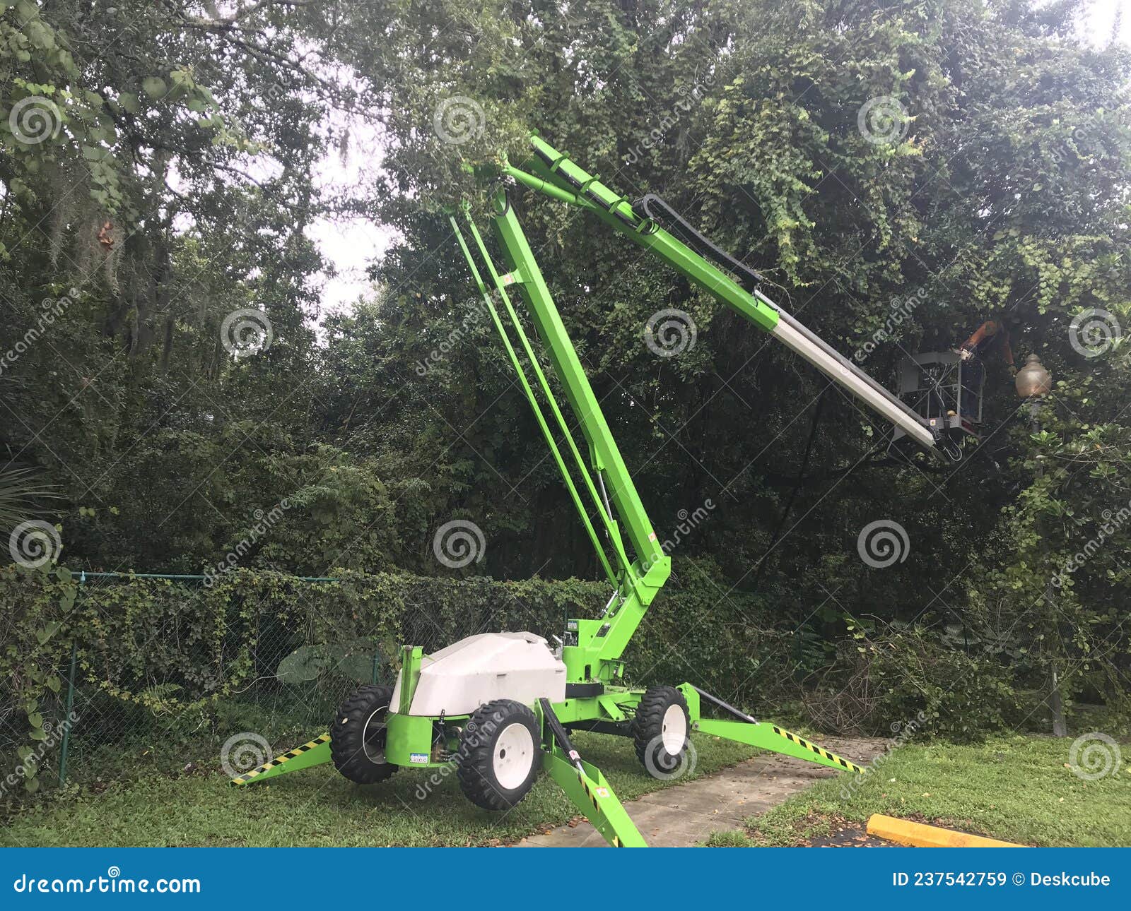 Tree Pruning Work by Professional Worker on a Lifting Platform Stock ...