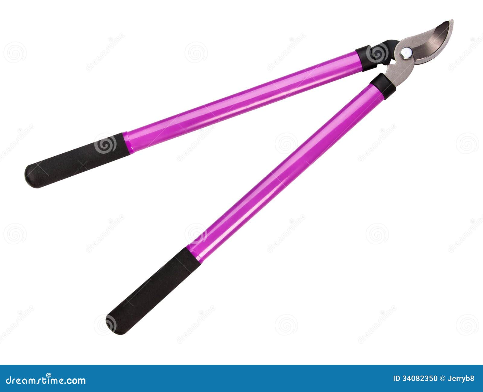 Tree Pruning Tools stock photo. Image of clipper, white - 34082350