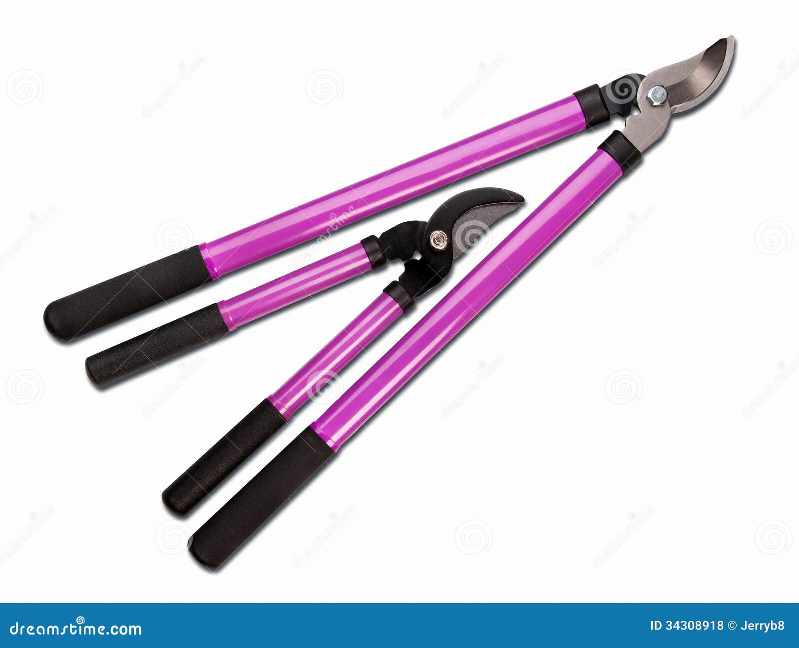 Tree Pruning Tools stock photo. Image of branch, tool - 34308918