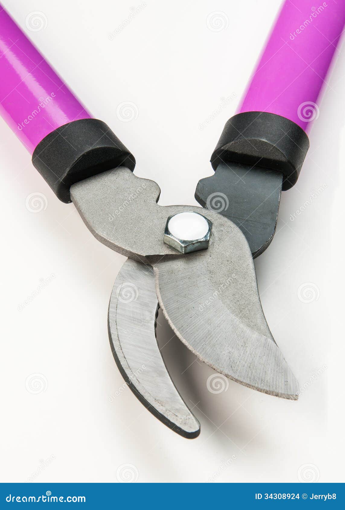 Tree Pruning Tools stock photo. Image of service, prune - 34308924