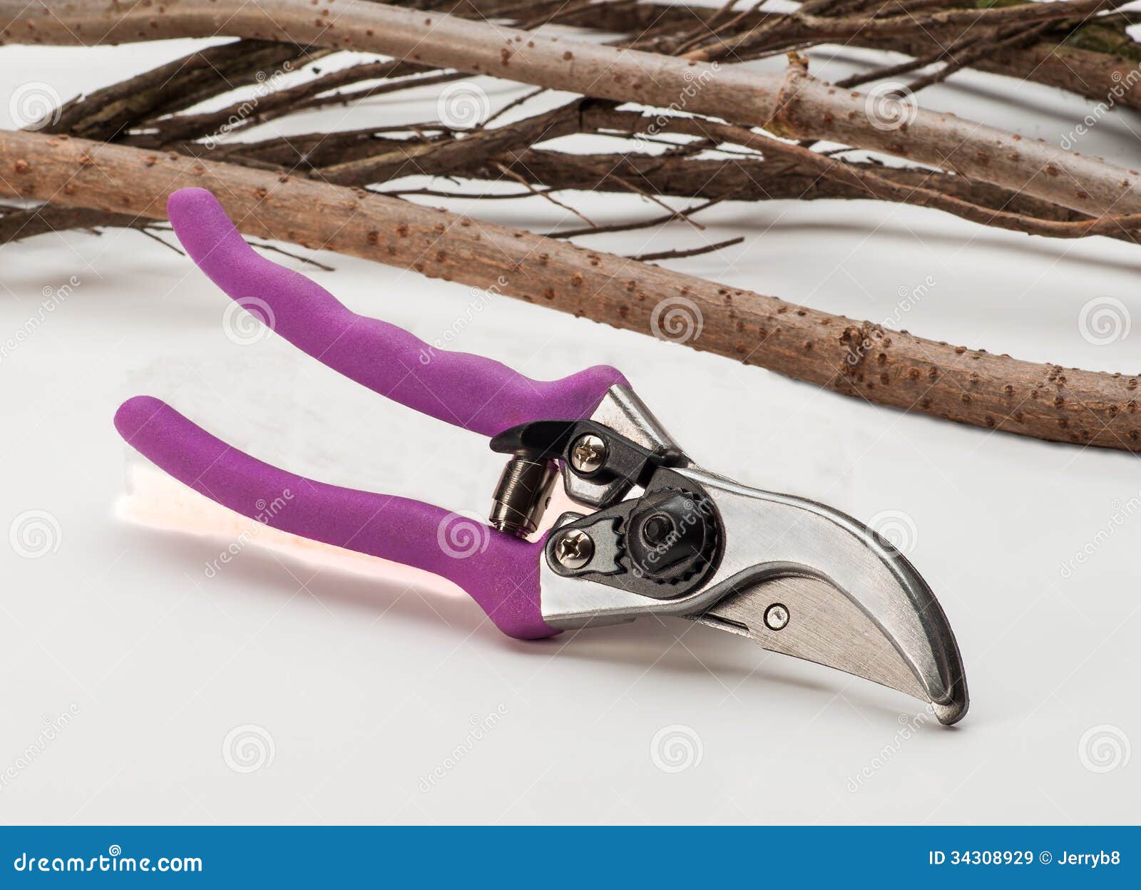 Tree Pruning Tools stock image. Image of sharpen, tools - 34308929