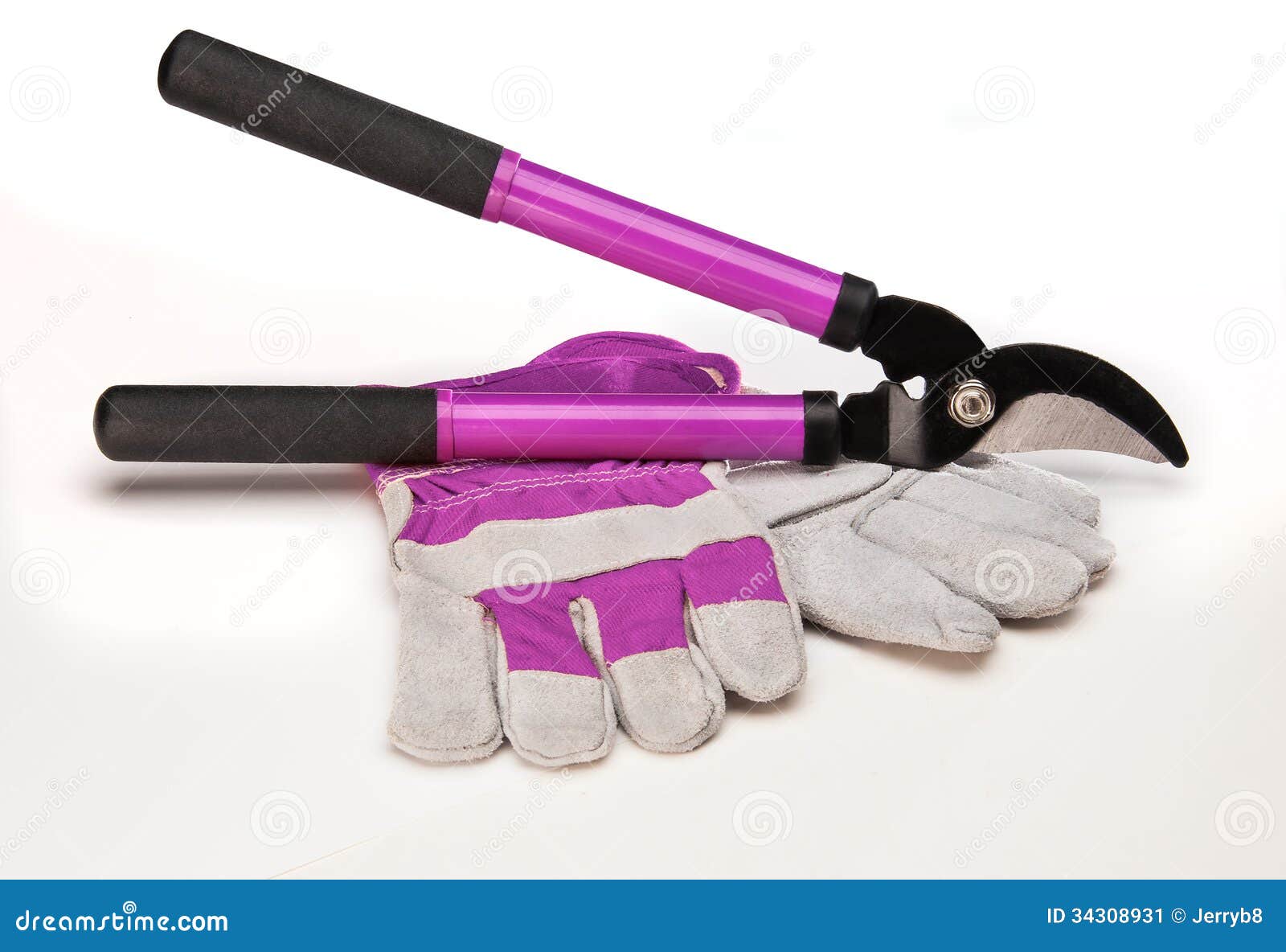 Tree Pruning Tools stock image. Image of trim, gloves - 34308931