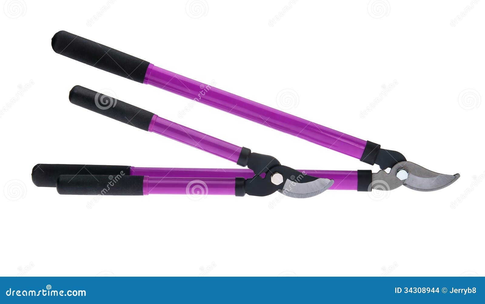 Tree Pruning Tools stock photo. Image of landscaping - 34308944