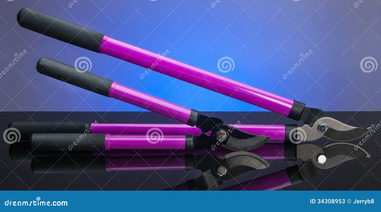 Tree Pruning Tools stock image. Image of small, trimmer - 34308953