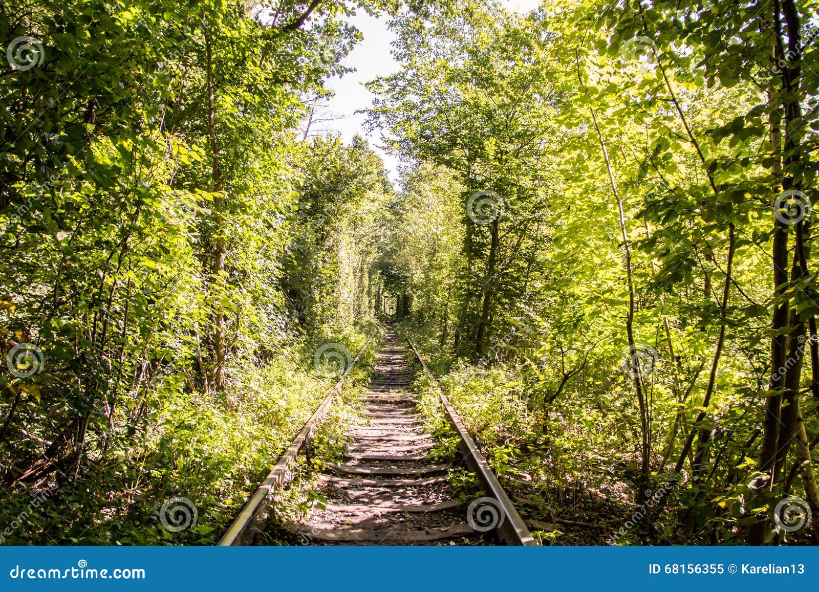 Tree rail tunnel in forest stock image. Image of beauty - 68156355