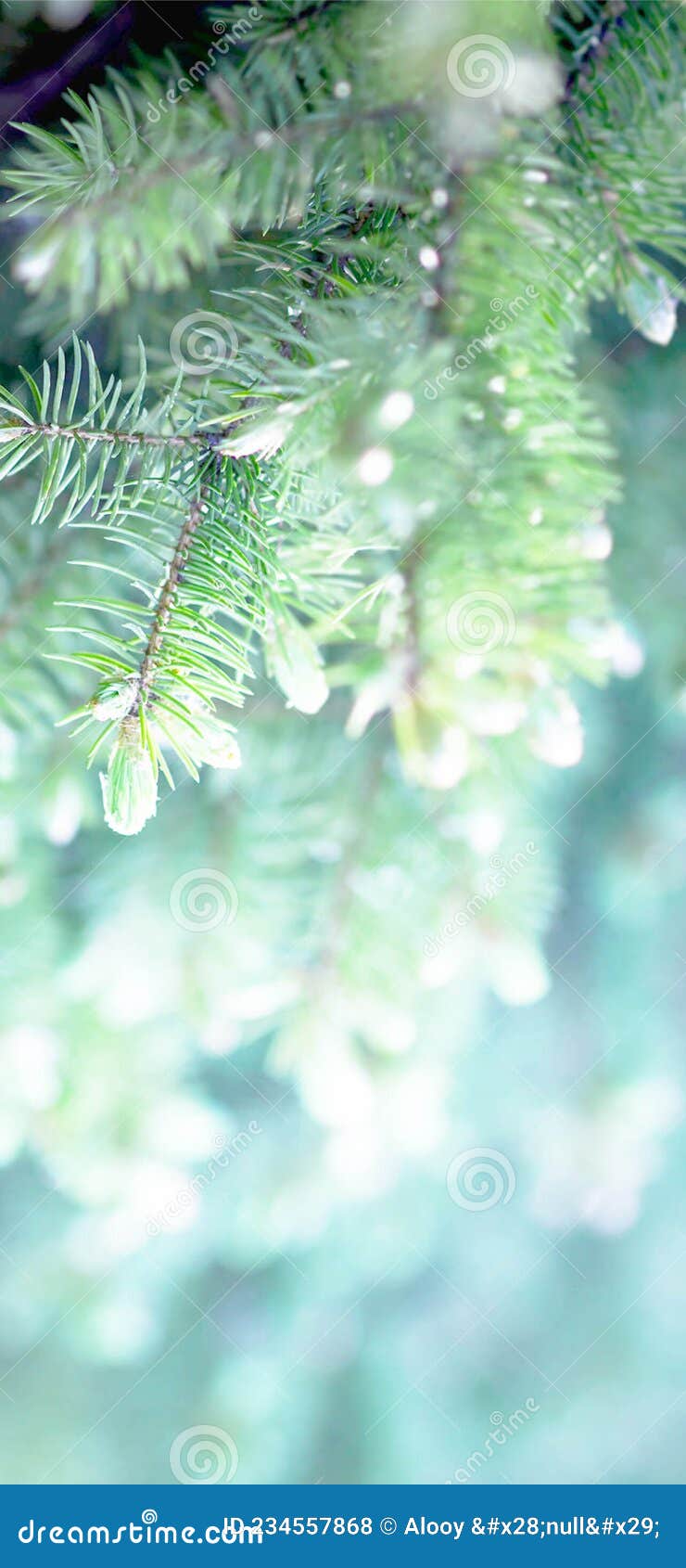 Tree in rain stock photo. Image of jungle, rain, tree - 234557868