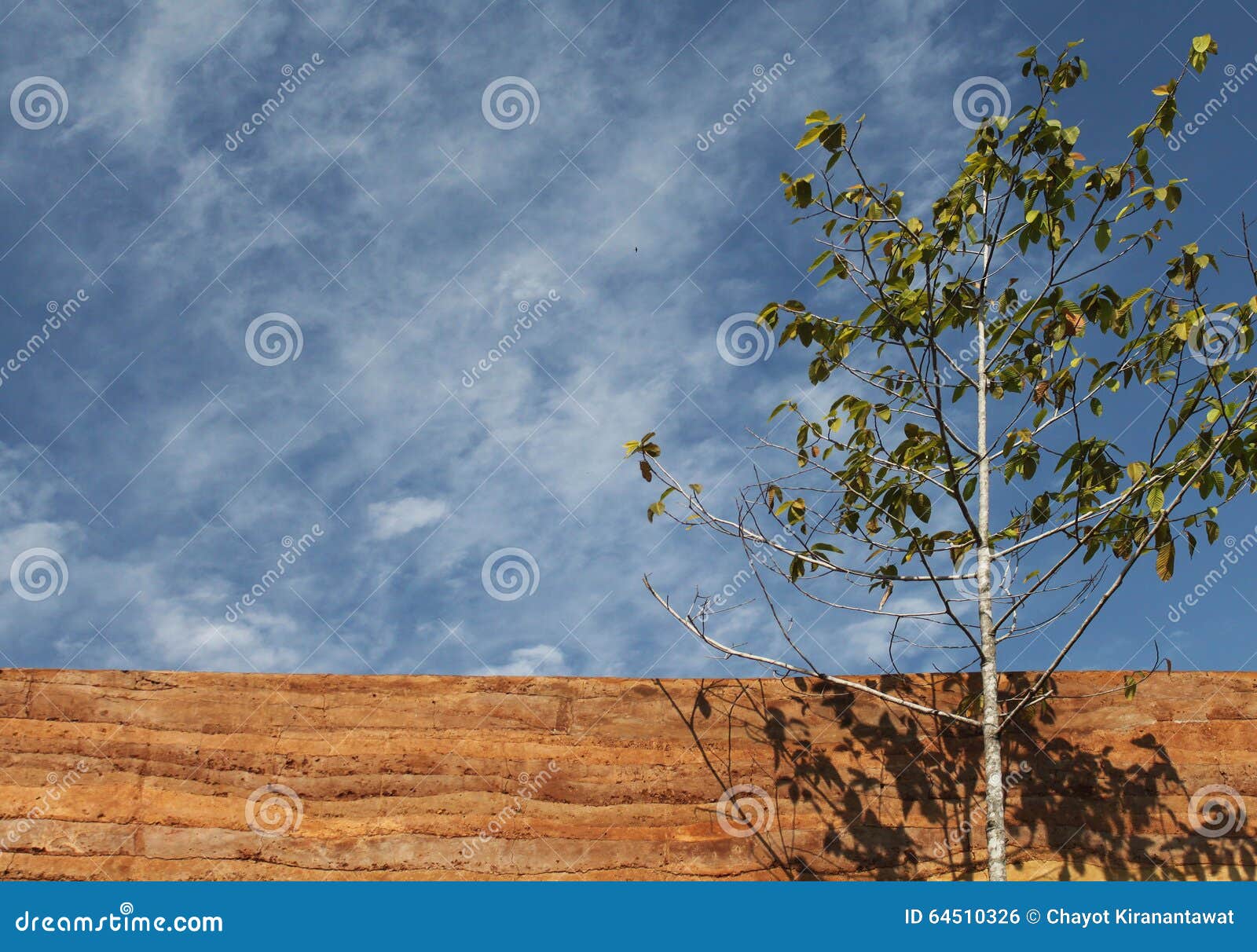 Tree with Rammed Earth Wall Material Texture on Sky Backgro Stock Photo ...