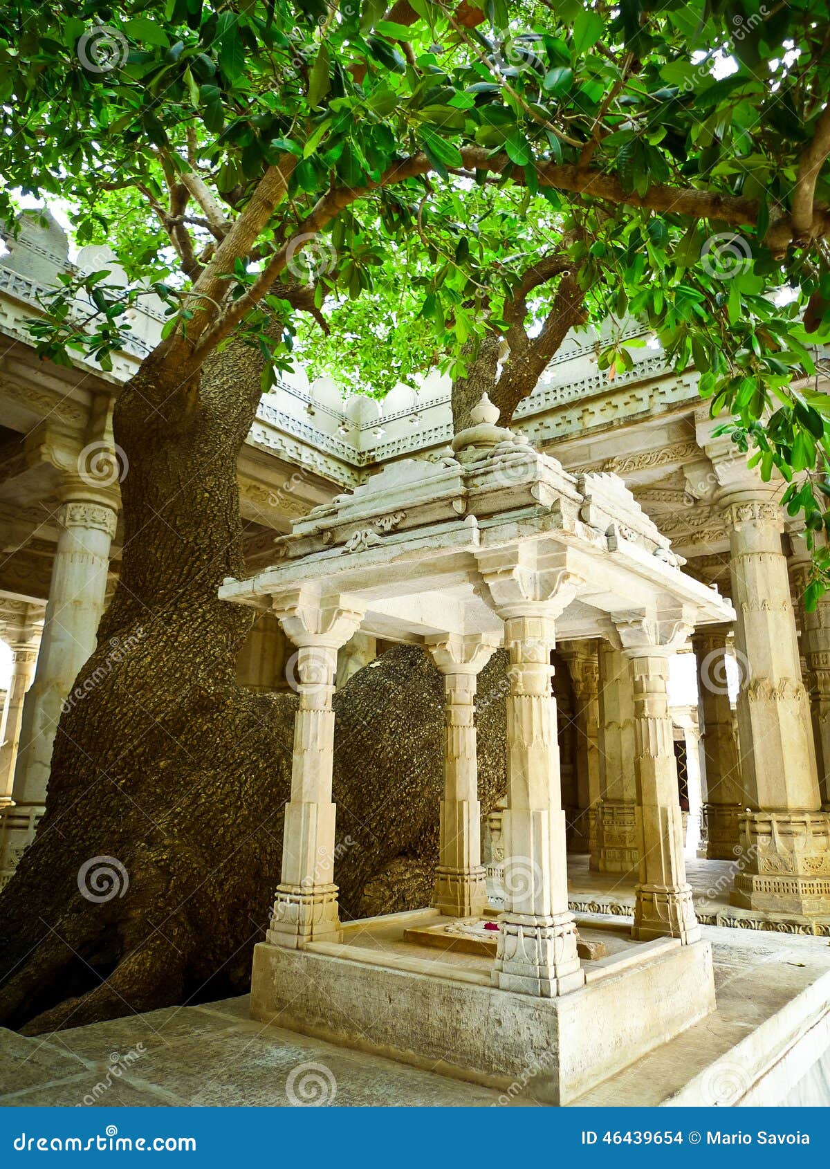 Tree in Ranakpur Jain Temple Stock Photo - Image of india, ancient ...