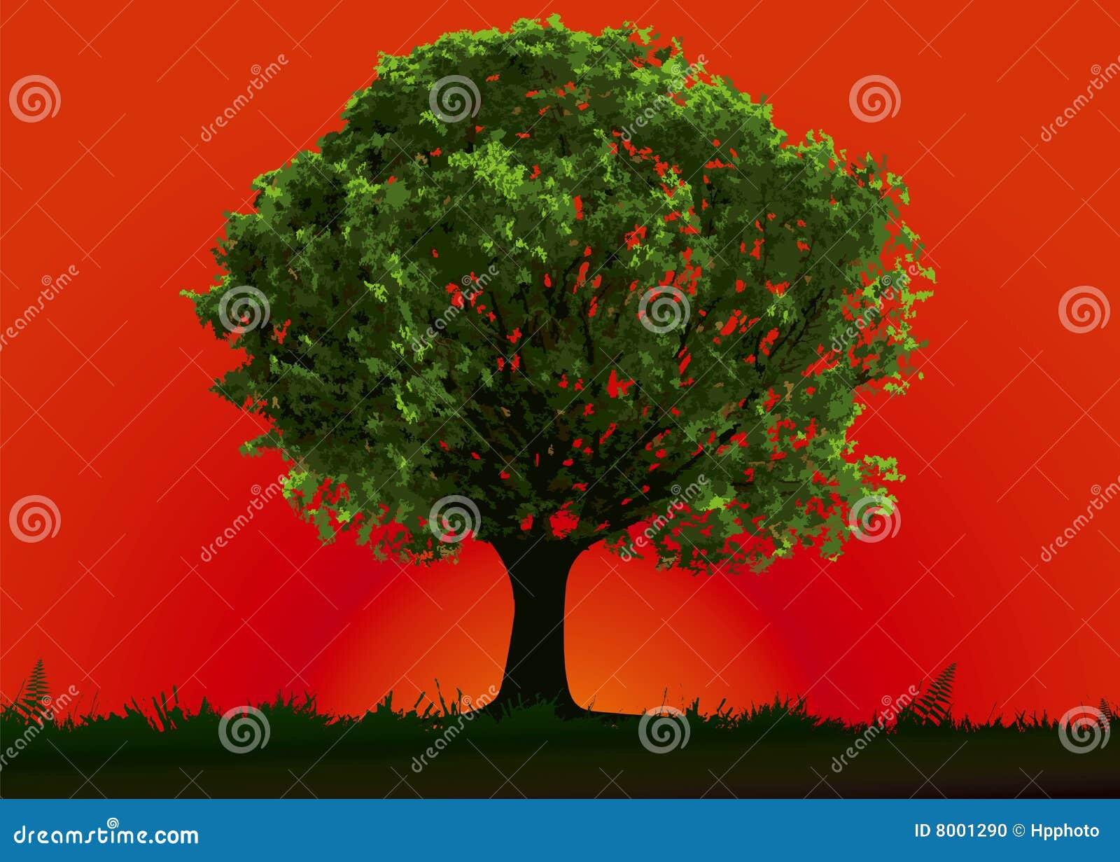 Tree and red sunset stock vector. Illustration of rural - 8001290