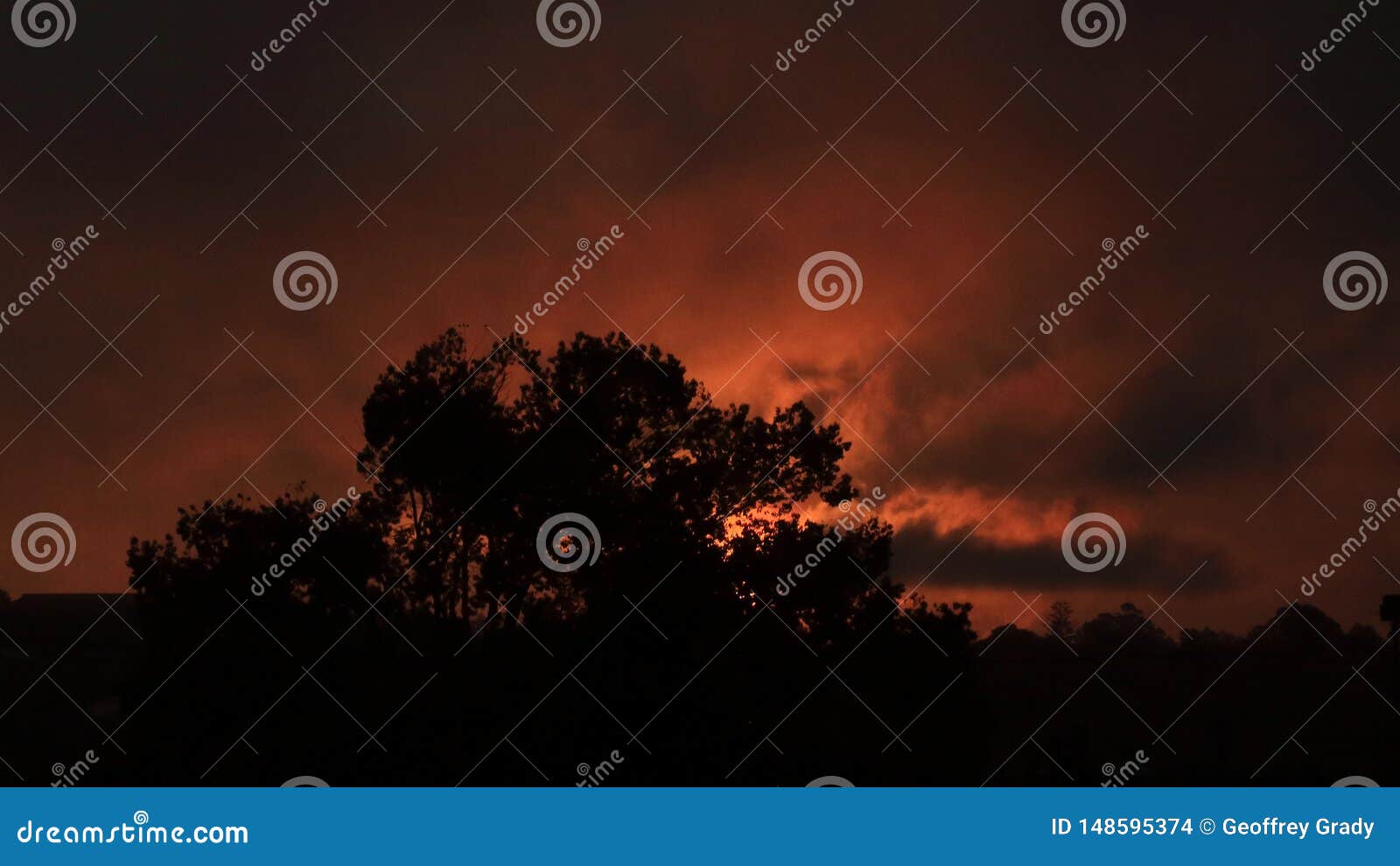Tree Silhouette with Red Sunset Stock Photo - Image of tree, clouds ...
