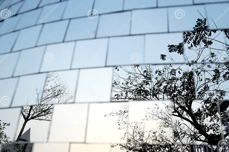 Tree Reflect in Chrome Cubes Wall Stock Photo - Image of architecture ...