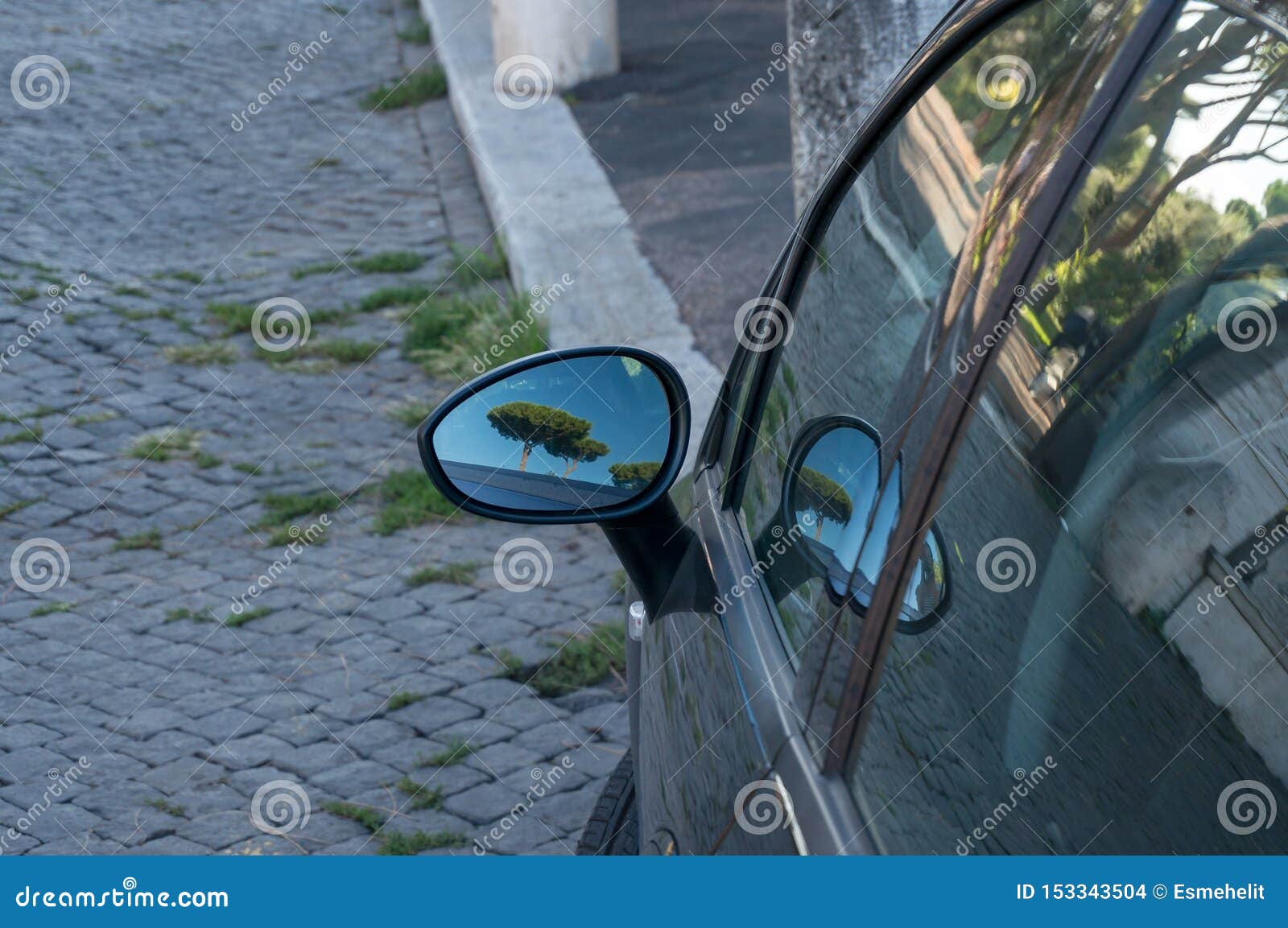 Tree Reflected Inside a Side View Car Mirror Stock Photo - Image of ...