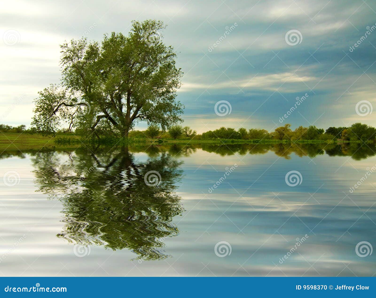 Tree Reflected in the Pond at Twilight Stock Photo - Image of outside ...