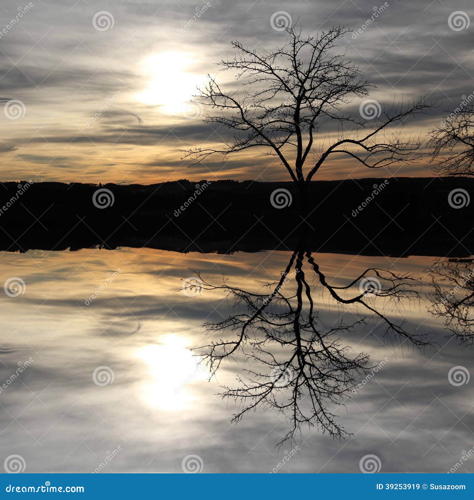 Tree Reflecting in a Lake, Mystic Scenery Stock Image - Image of alone ...