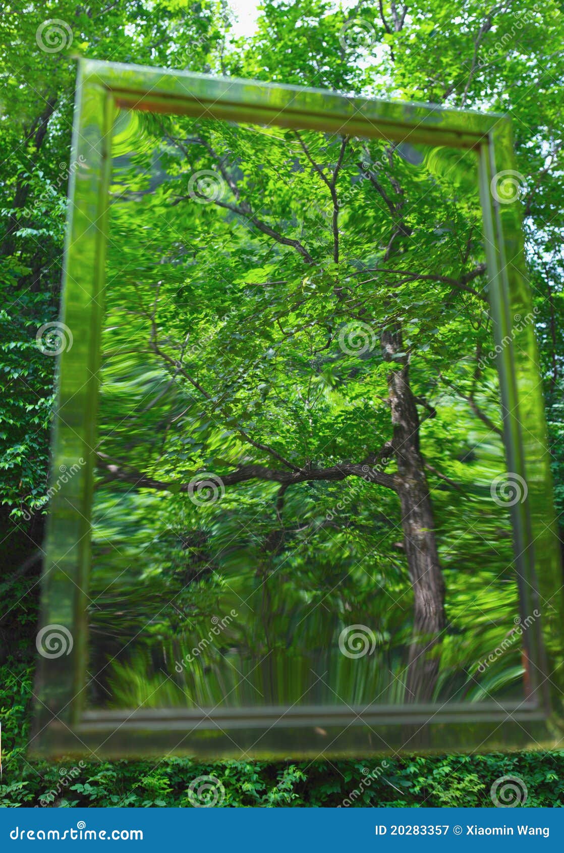 Tree reflection stock image. Image of clear, bright, abstract - 20283357