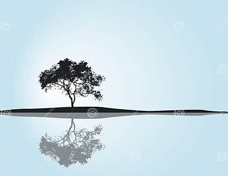 Tree reflection stock vector. Illustration of reflecting - 5895209